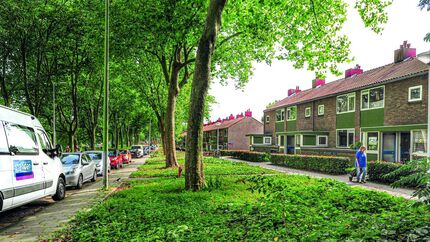 Stadgenoot - Amsterdamse woningcorporatie - Home