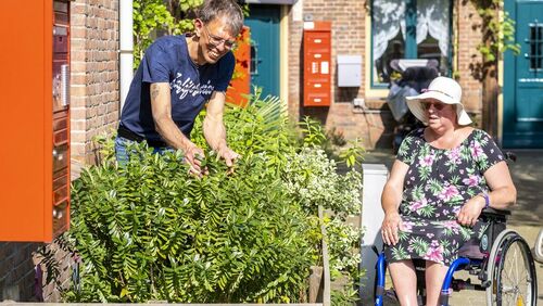 Stadgenoot - Amsterdamse woningcorporatie - Home